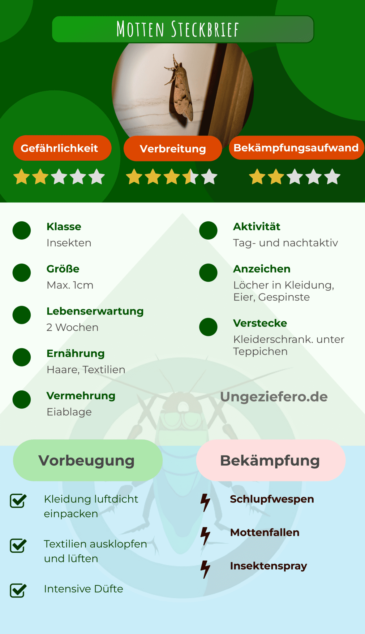 Bewährte Hausmittel zur Mottenbekämpfung in deinem Zuhause