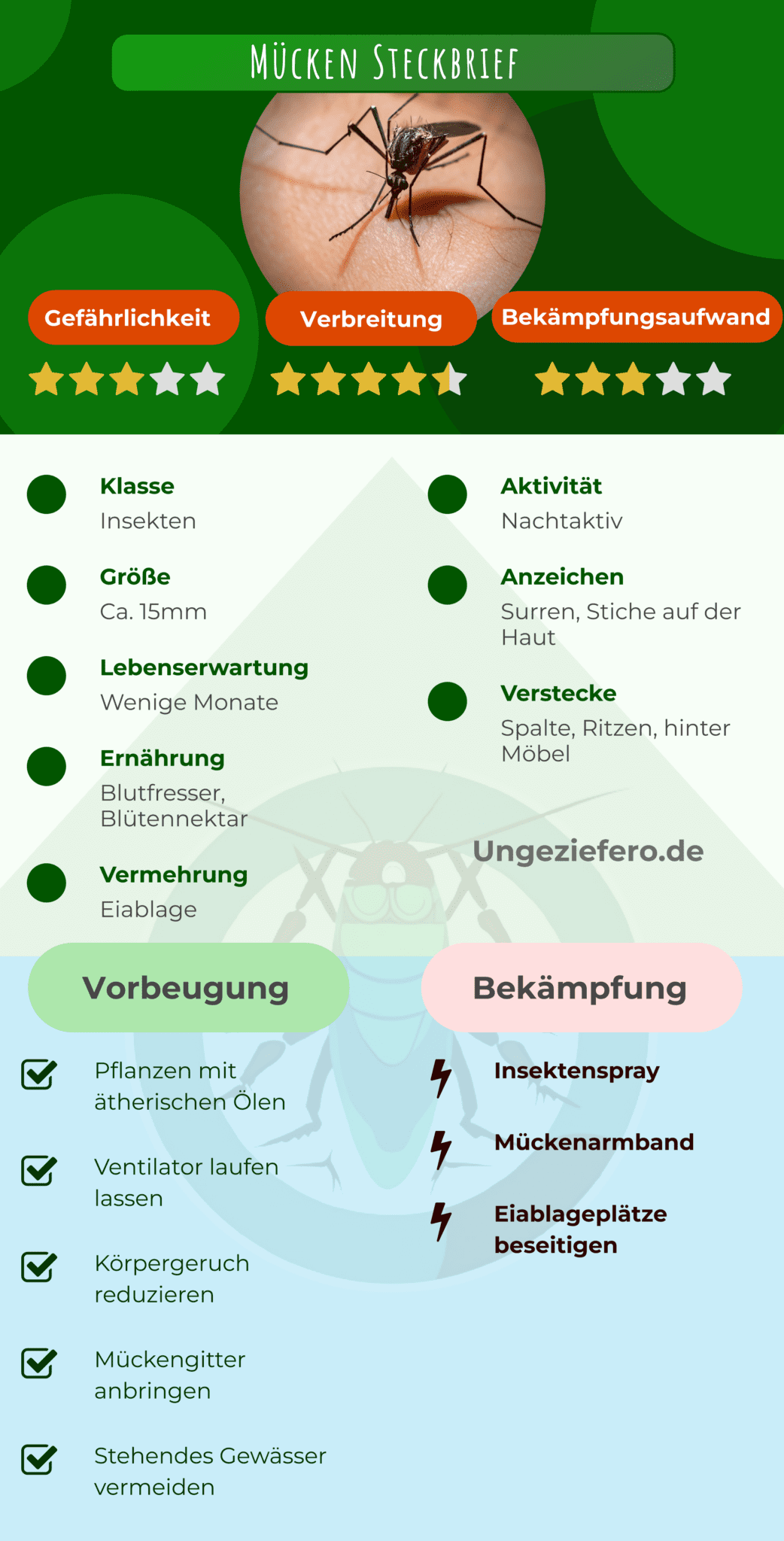 Die Lebensdauer von Mücken: Fakten, die Du kennen musst!